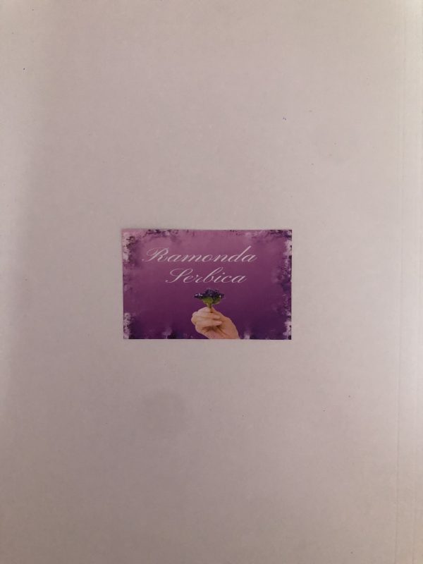 RAMONDA SERBICA – ANS Creative Team